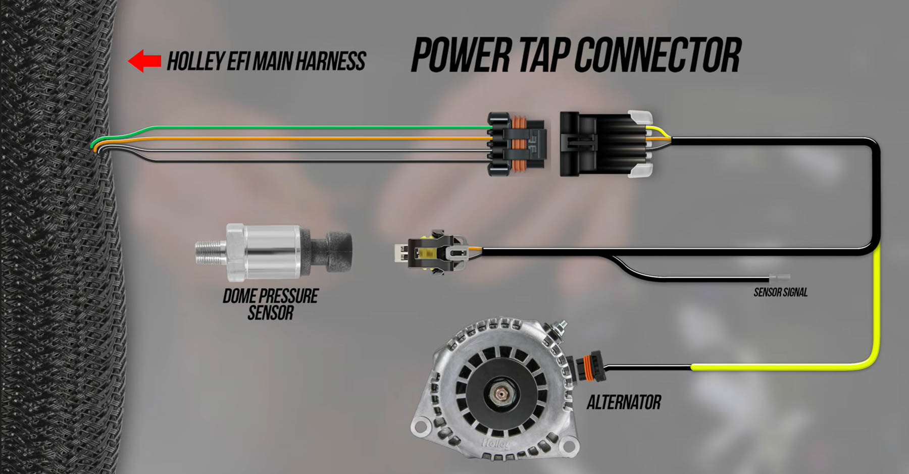 Holley Power Tap: Enhance Your Wiring Harness